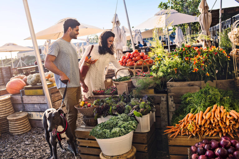 Explore the Best Markets in Cape Town (2026 Guide) - Pullman Cape Town